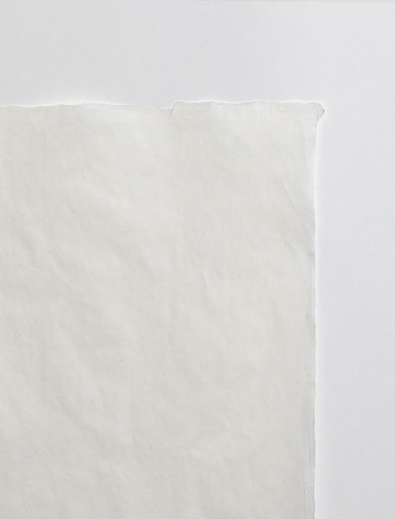 unnamed-3_02f21c88-fcd9-43fd-94eb-80f1ff40b3a6_1024x1024.jpg?v=1728282925