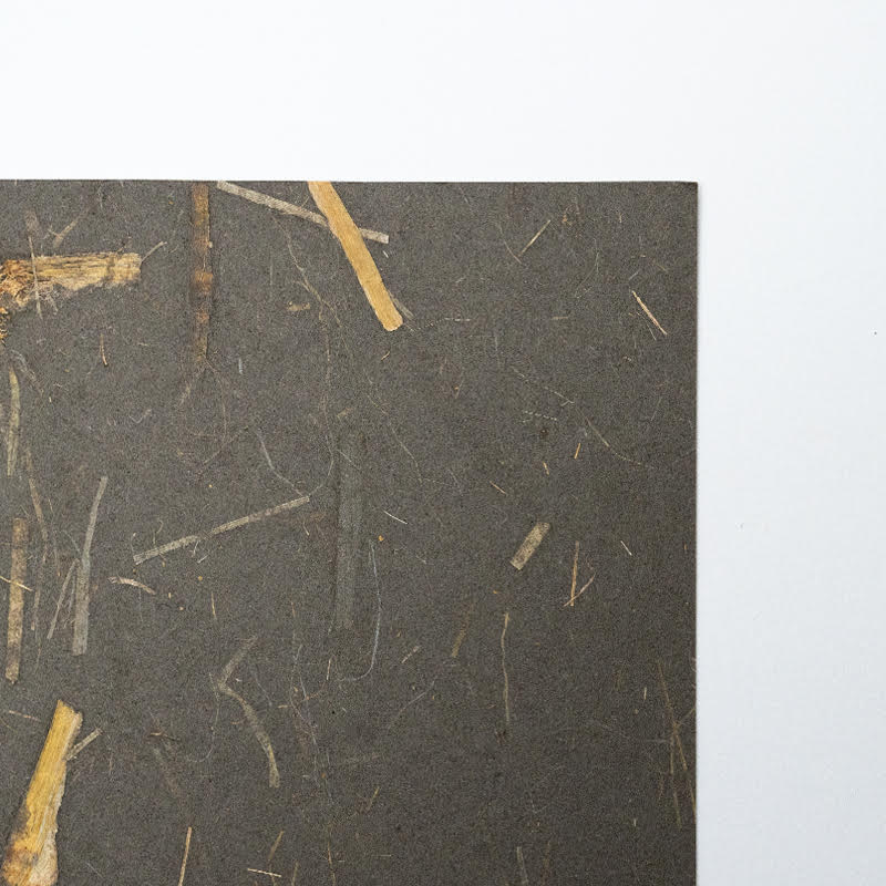 unnamed-3_5d1c917e-af05-47dc-90fe-aa2e5d2bdcd6_1024x1024.jpg?v=1729155824