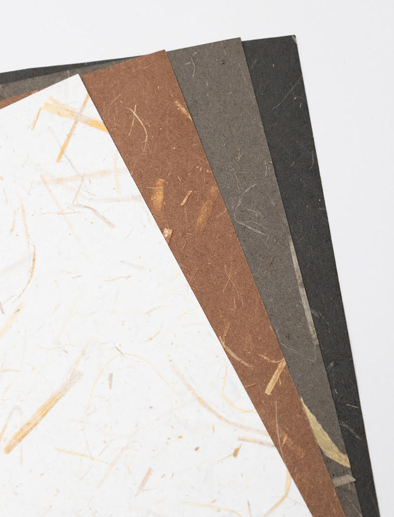 unnamed_709e6157-f40f-45f1-976d-51cc41200f66_1024x1024.jpg?v=1729155609