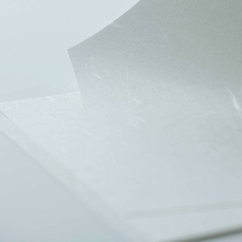 Fine Art Paper Pack (12 Sheets) - Rayon Unryu 85gsm | awagami factory